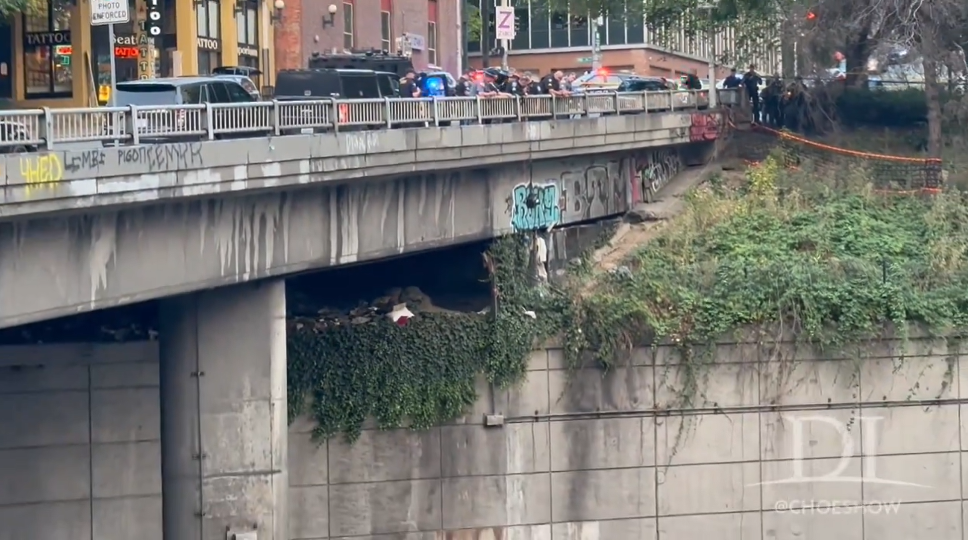 Homeless Man Assaults Officer, Causes Chaos Under Seattle Bridge Friday ...
